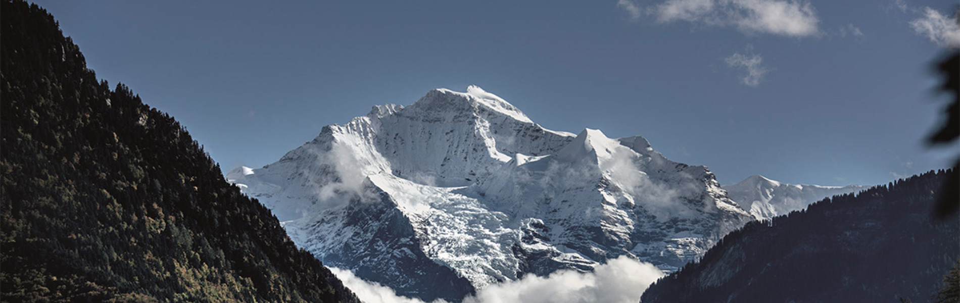 AEVIS Victoria - Investments activities